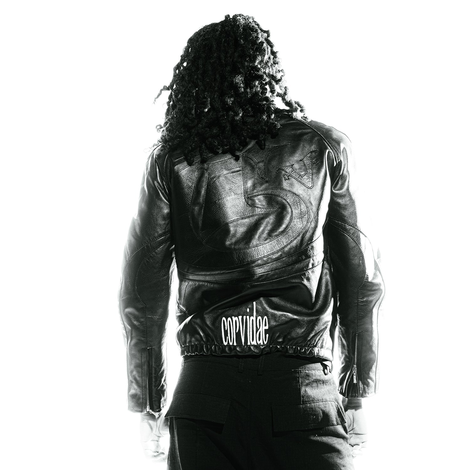 Gallery – Corvidae