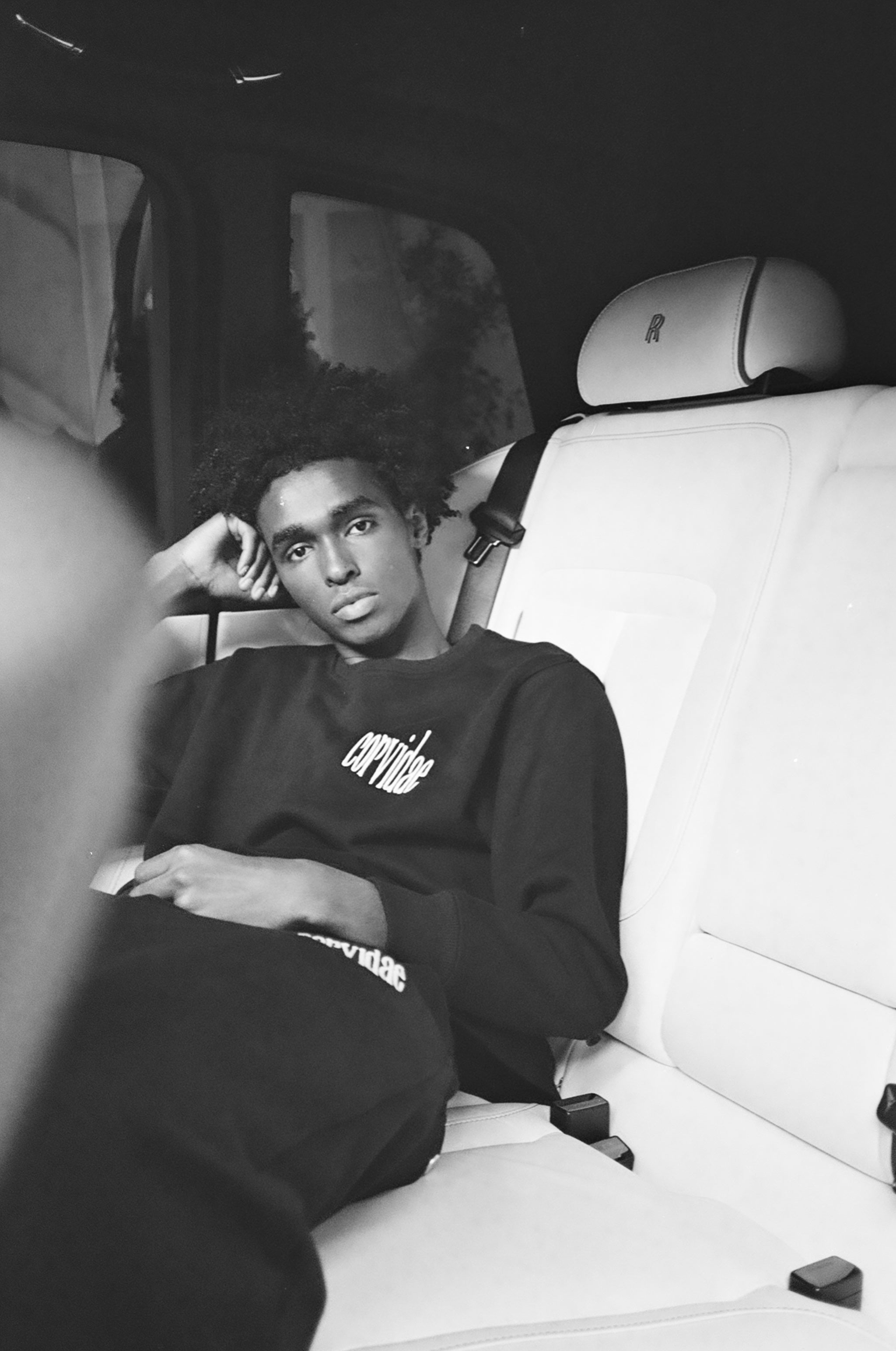 Gallery – Corvidae