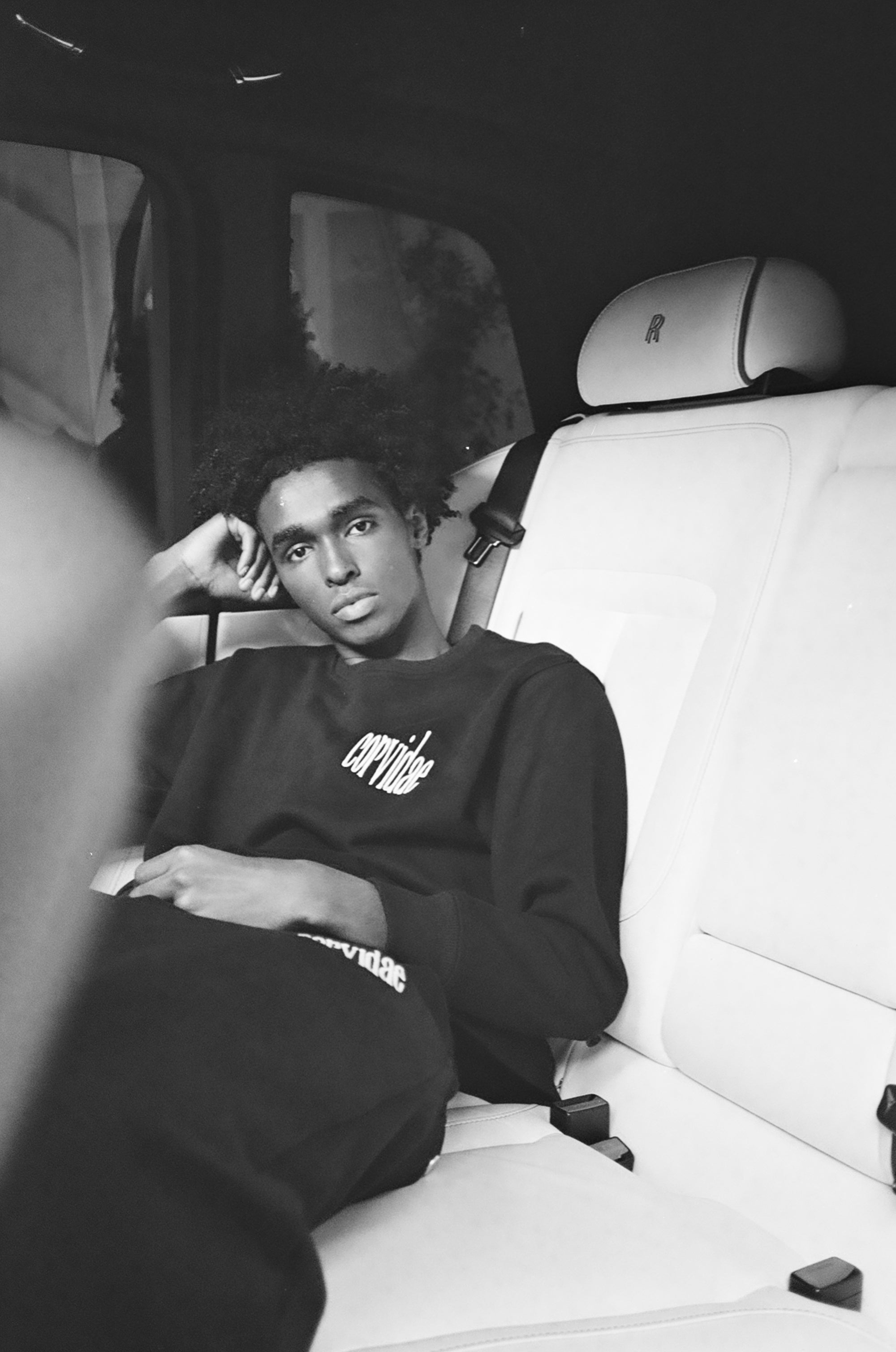 Gallery – Corvidae