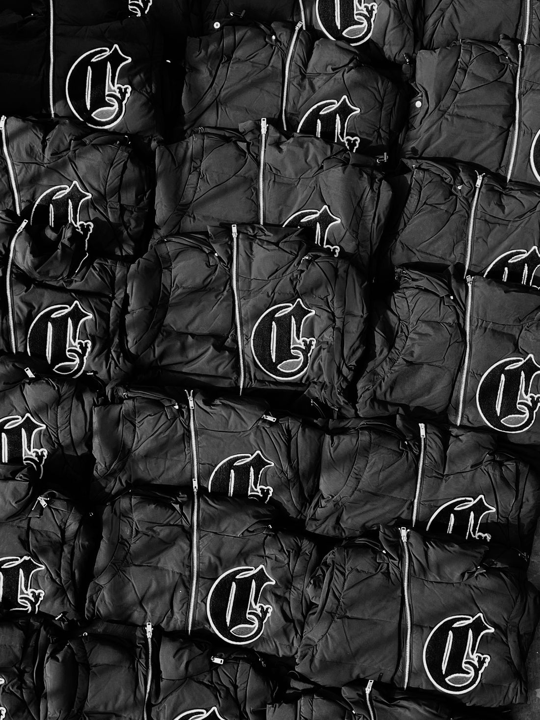 Gallery – Corvidae