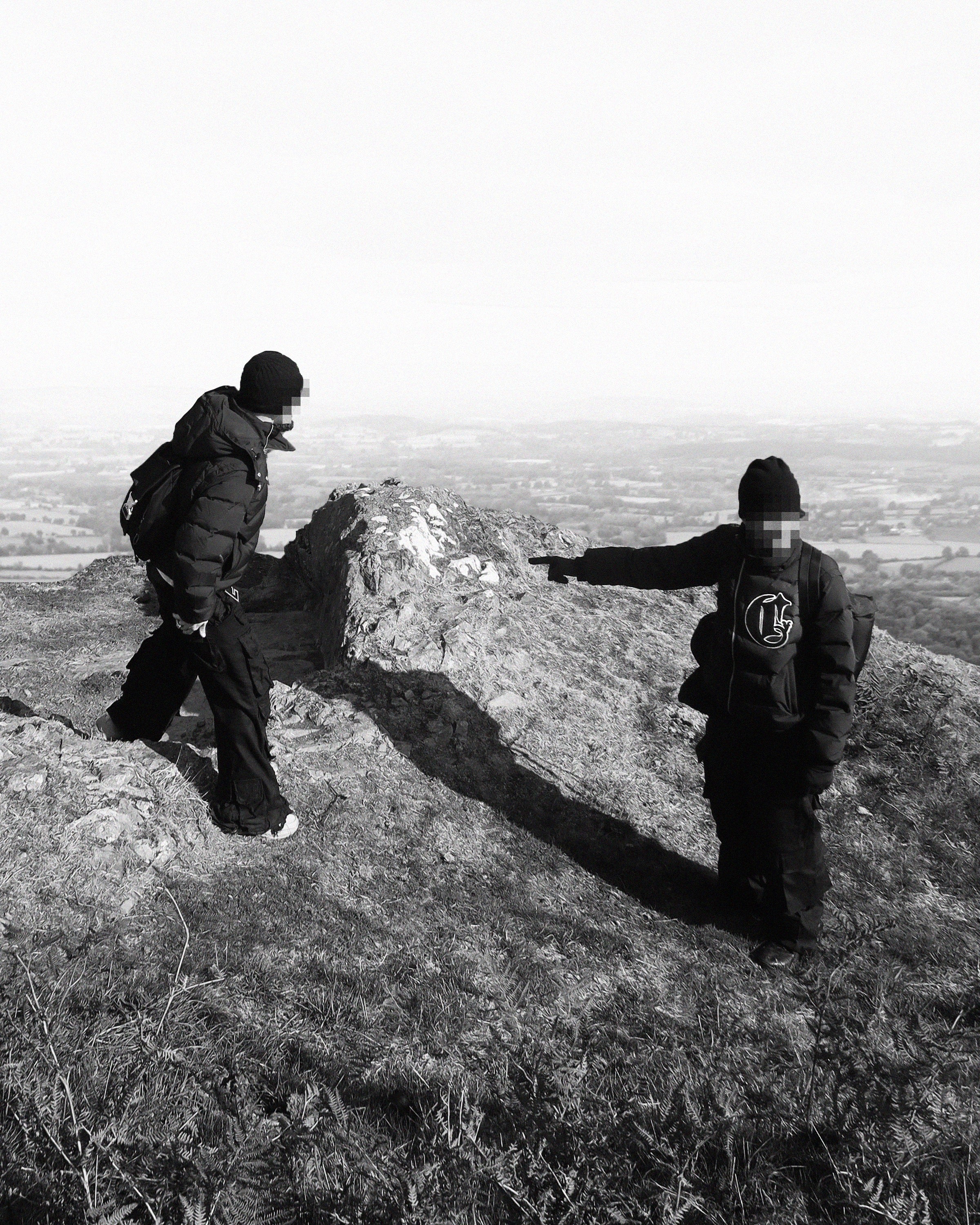 Gallery – Corvidae