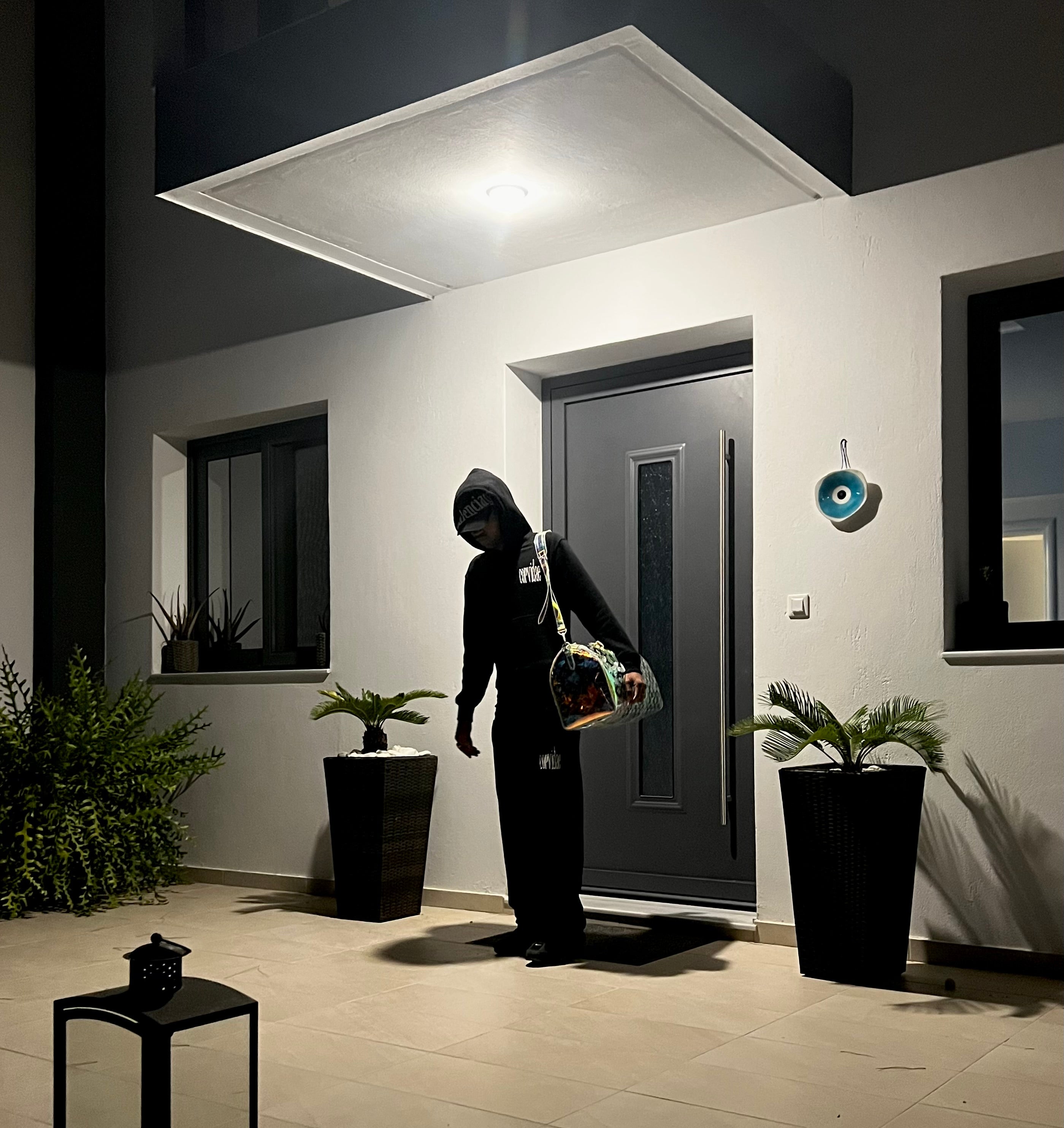 Gallery – Corvidae