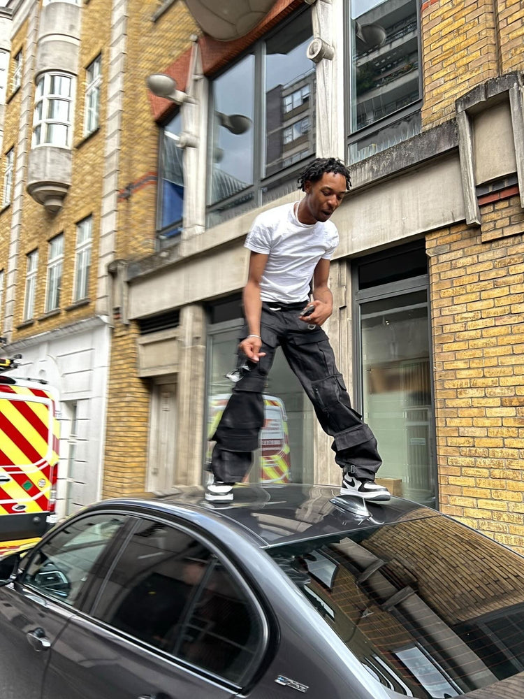 Gallery – Corvidae