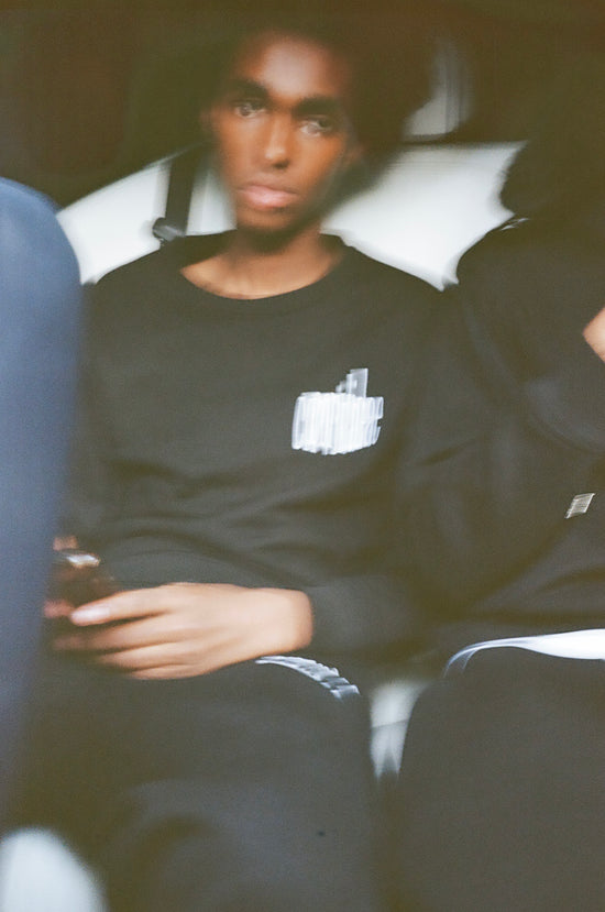 Gallery – Corvidae